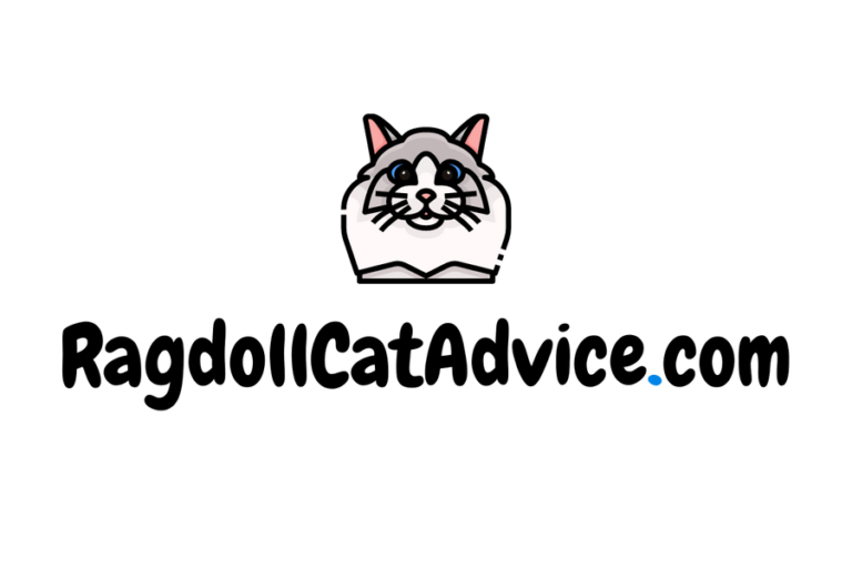 Ragdoll Cats And Shedding What Do You Need To Know